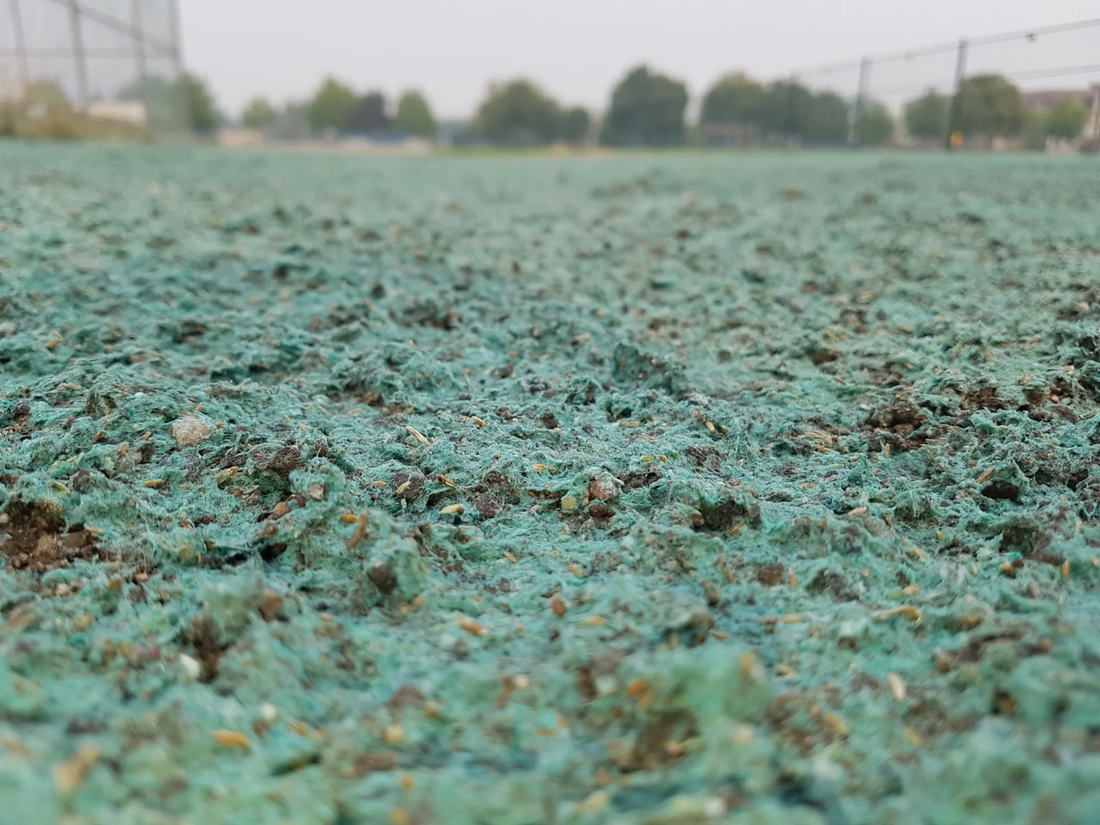 Premier Hydroseeding | Cincinnati Ohio | Indiana | Kentucky